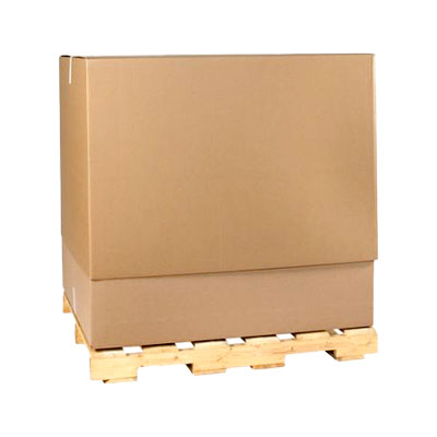 InstaBox Winnipeg | The Boxing Champions